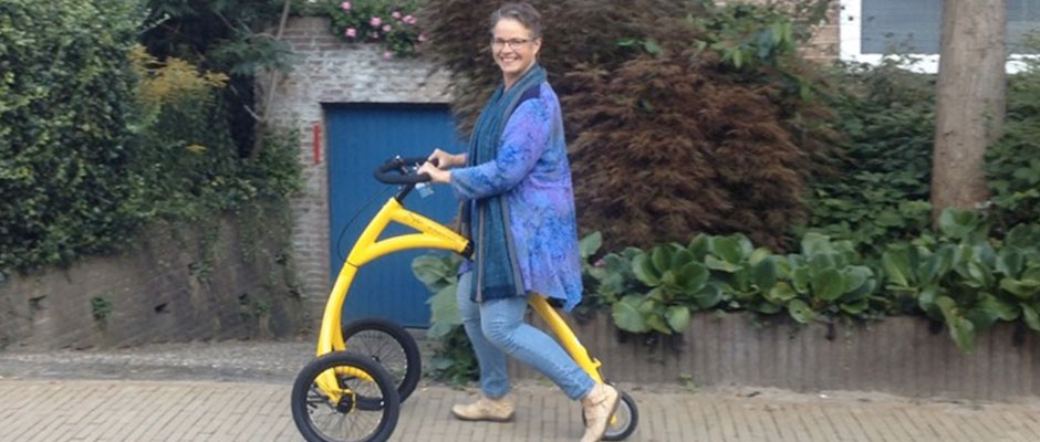 Alinker 3-wiel loopfiets voor volwassenen – Speciale familiefietsen ...