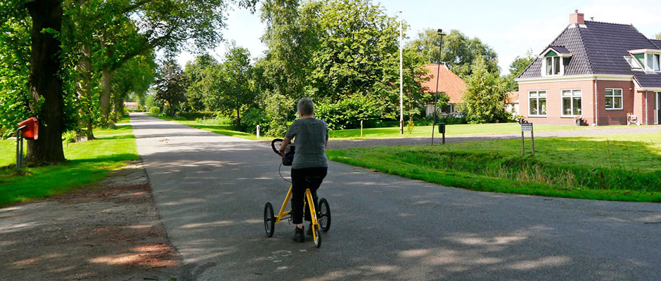 Alinker 3-wiel loopfiets voor volwassenen – Speciale familiefietsen ...